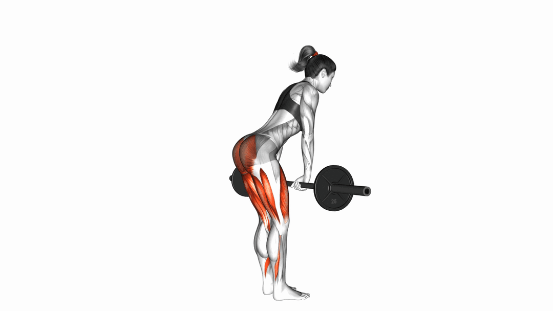 Romanian Deadlift (RDL): Complete Exercise Guide — Form, Muscles ...
